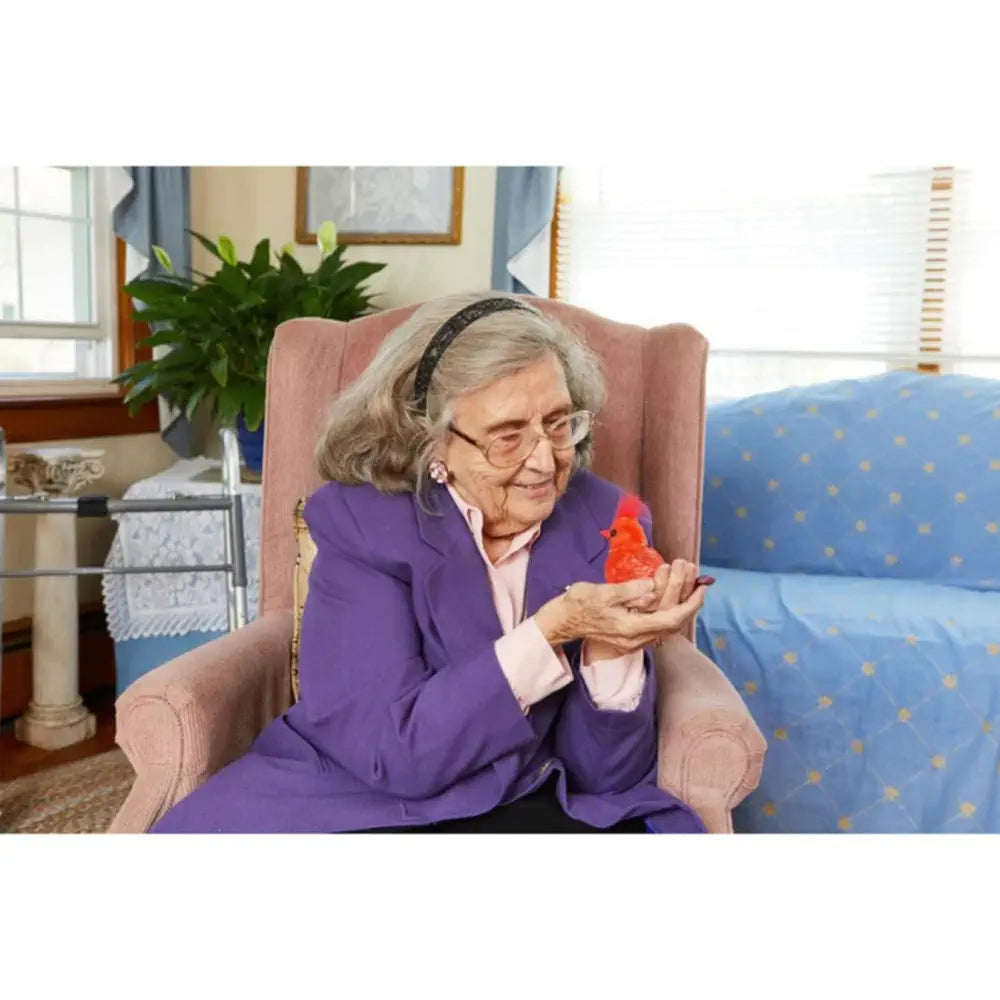 Ageless Innovation Walker Squawker Bird Interactive Companion (Cardinal ...