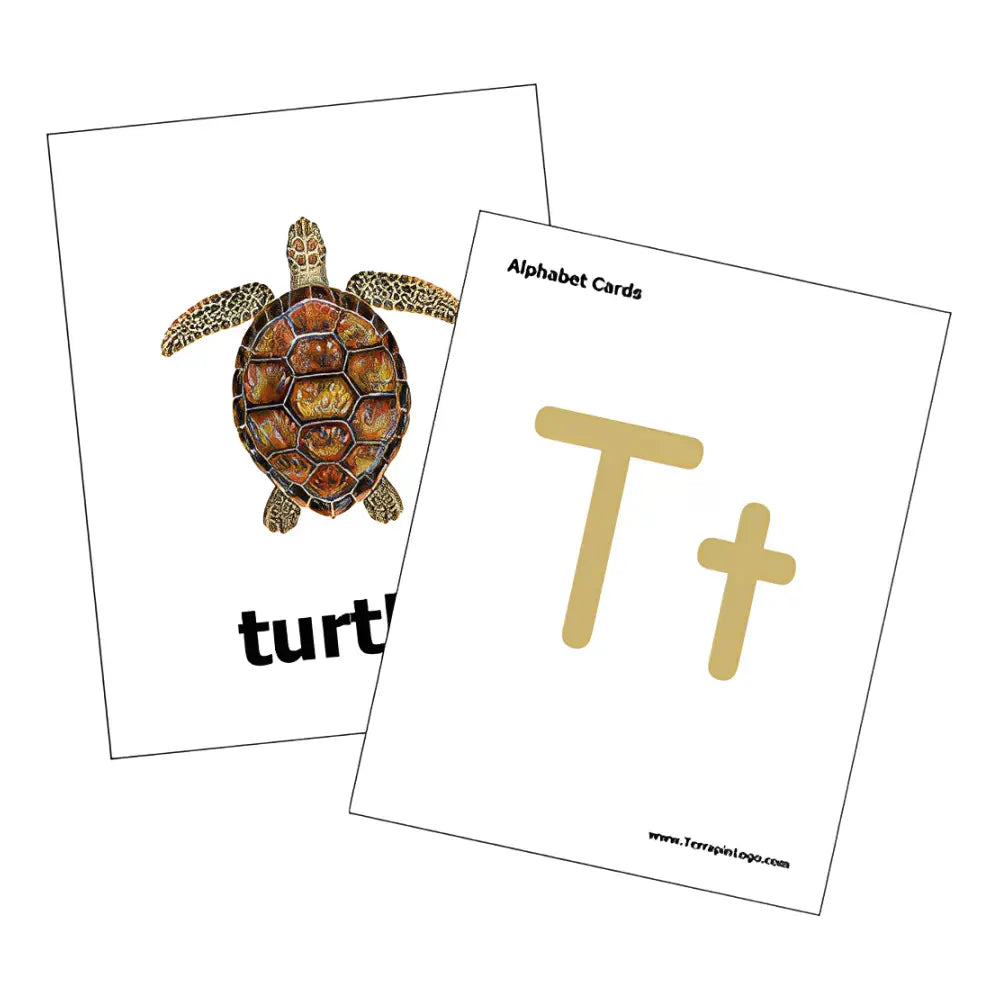 Terrapin Alphabet Cards Set for Bee-Bot and Blue-Bot Coding Floor ...