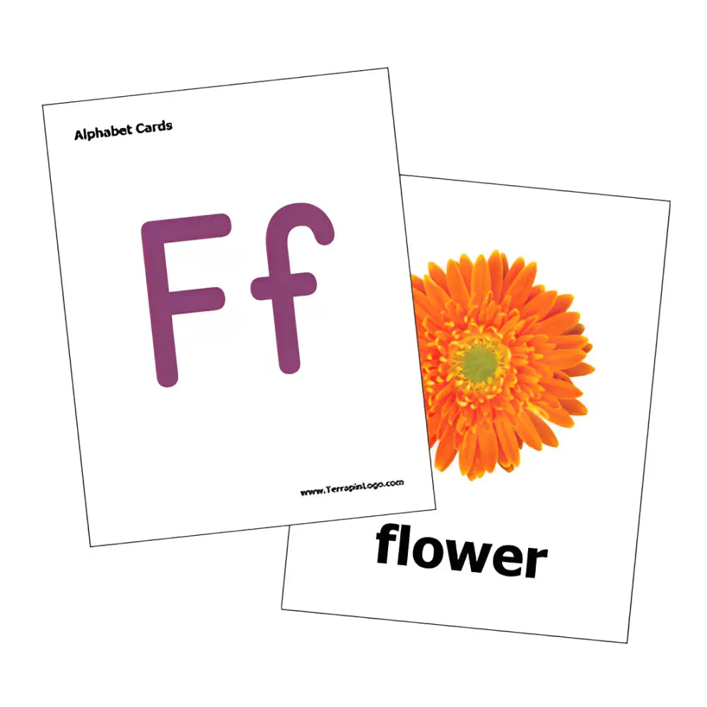 Terrapin Alphabet Cards Set for Bee-Bot and Blue-Bot Coding Floor ...