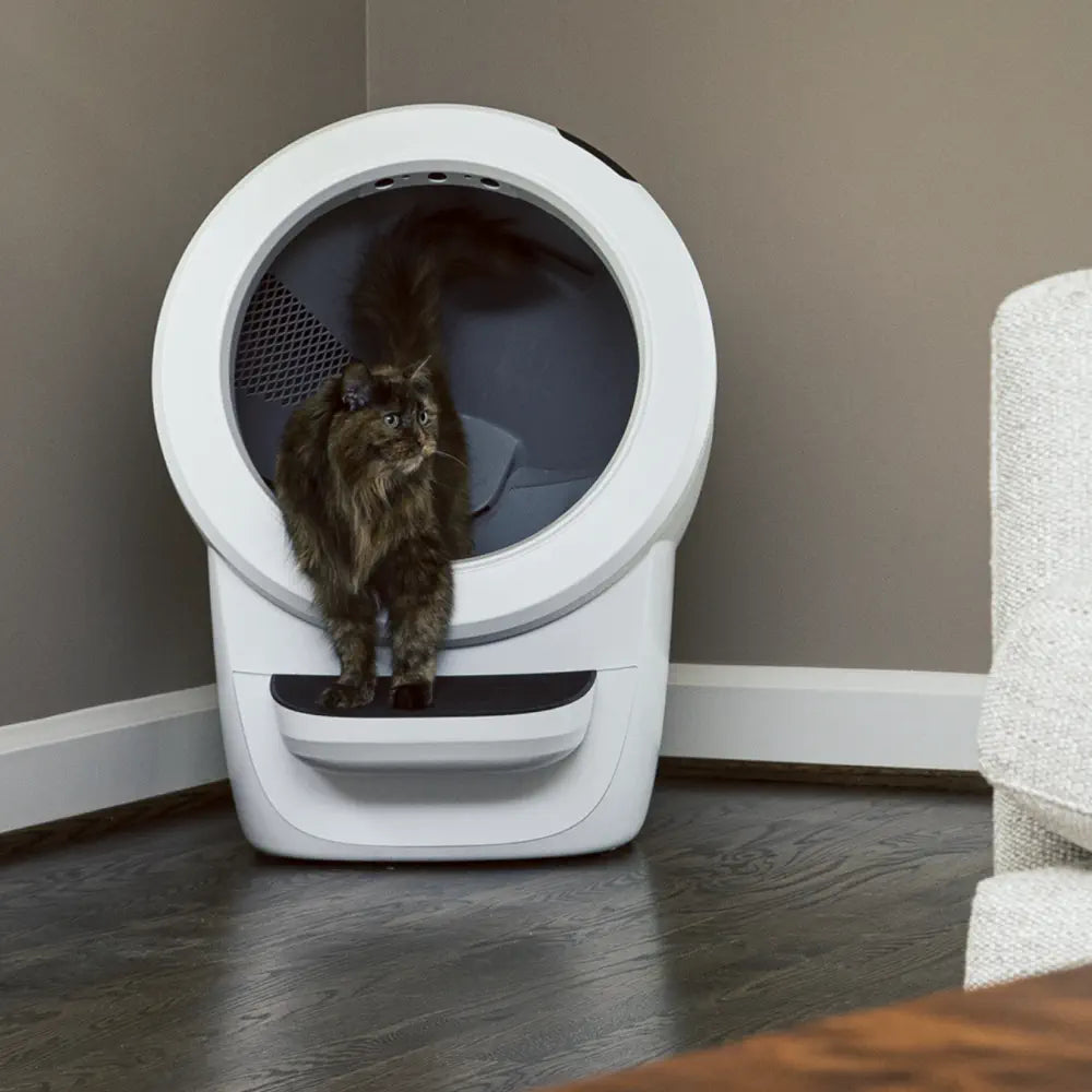Litter-Robot 4 Automatic Self-Cleaning Litter Box – White Bundle ...