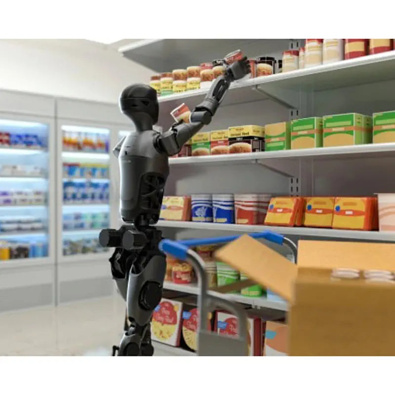 Pudu D9 Full Sized Humanoid Robot - RobotShop