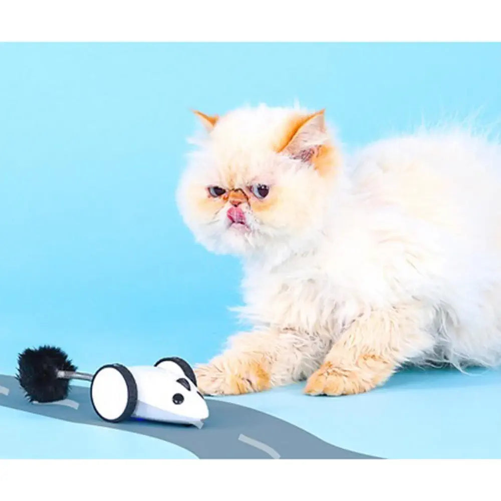 Instachew Purechase Smart Pet Toy (App-Enabled) - RobotShop