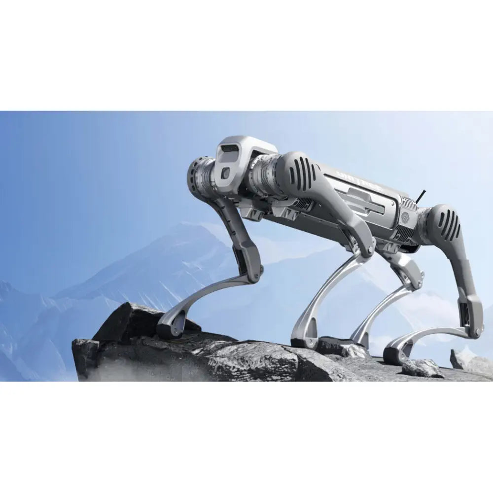 Unitree B2 Robotic Dog - RobotShop